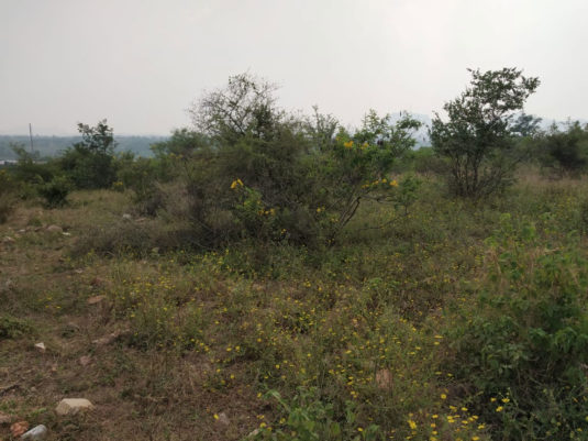 Sreemitra Townships Deccan Heights Plots Buy/Sale in Pochampally ...